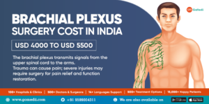 What Are The Different Types Of Brachial Plexus Surgery In India? Archives - GoMedii Blog
